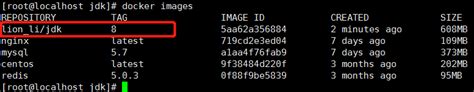 docker 搭建 oracle jdk 版本可更换 镜像 更换docker镜像为 oraclejdk csdn博客
