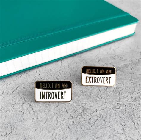 Introvert Hard Enamel Pin Badge White Black And Gold Etsy UK