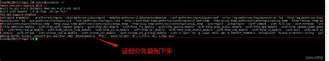 nginx平滑升级解决 nginx 安全漏洞 cve 2021 23017 和nginx 环境问题漏洞 cve 2019 20372 csdn博客