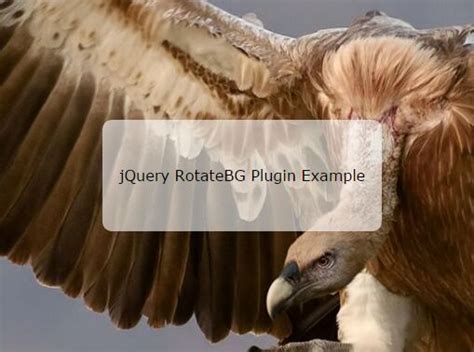 3d Rotating Content Slideshow With Jquery And Css3 Free Jquery Plugins