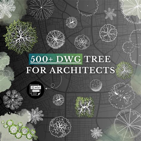 500 Tree Top View Collection DWG DXF Digital Files For Architects And Designers Etsy