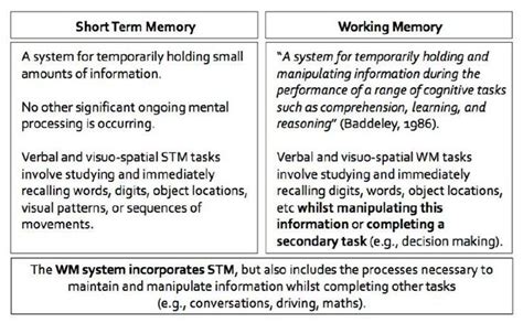 Short Term Memory Working Memory Worksheets