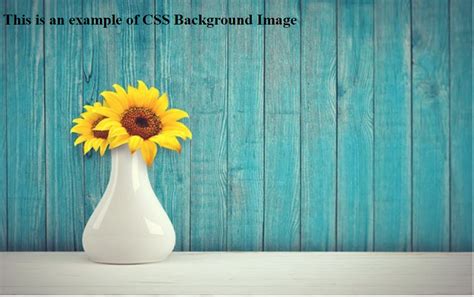 CSS Background Image