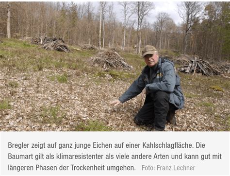 Bregler Zeigt Auf Ganz Junge Eichen R Rentnerzeigenaufdinge