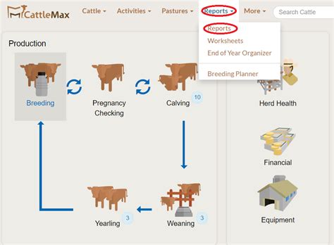 Customizing Reports CattleMax Help