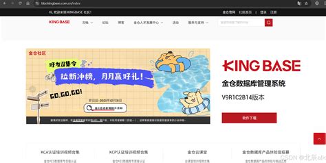 Kingbasees在线体验平台：零门槛学习oracle兼容数据库的全基础功能实践指南【数据库】在线体验kingbasees平台零门槛学习并快速体验oracle增改查全基础功能 Csdn博客