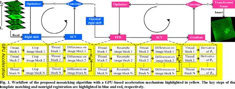 Figure 1 From Toward Intraoperative Endomicroscopy With A Gpu Accelerated Deformable Video