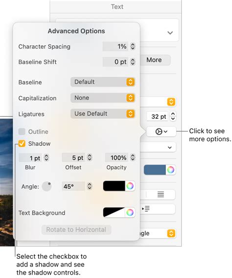how to remove border from text box also you can remove the default