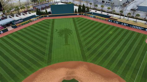 620 Best Rgamecocks Images On Pholder Sec Champs Wbb Defeat Tennessee