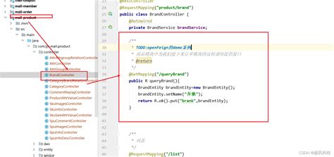 【15 项目中服务的远程调用之openfeignand订单模块与商品模块集成使用openfeign的案例】 openfeign demo csdn博客