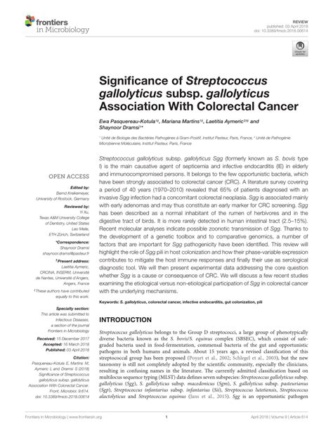 Pdf Significance Of Streptococcus Gallolyticus Subsp Gallolyticus Association With Colorectal