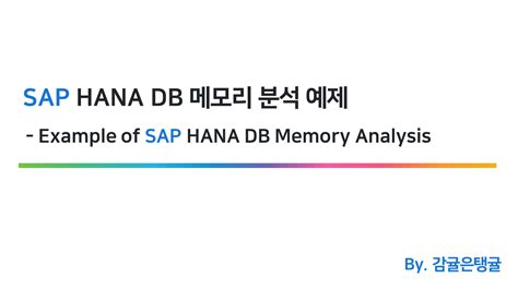 Sap Hana Db 메모리 분석 예제example Of Sap Hana Db Memory Analysis
