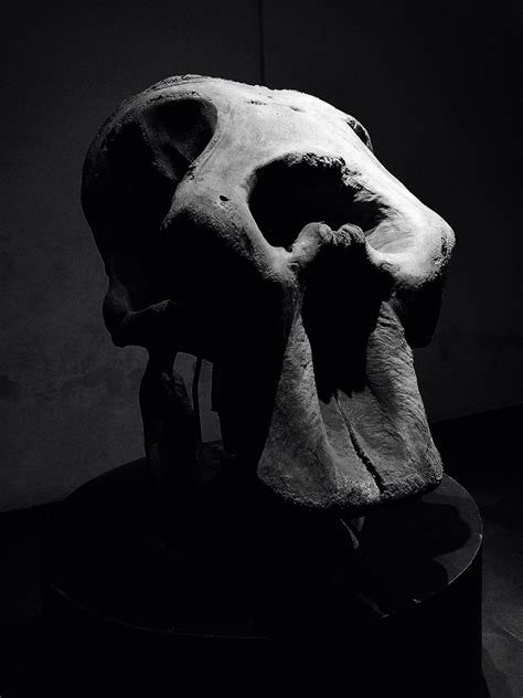 Sithum Nethmina Rathnayake Posted On Linkedin