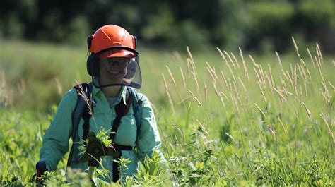 Friends Of Waubesa Wetlands Volunteer Workday 2600 Lalor Rd Oregon