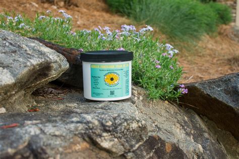 Black Wonder 5000 Soil Enhancer Natural Soil Enhancer