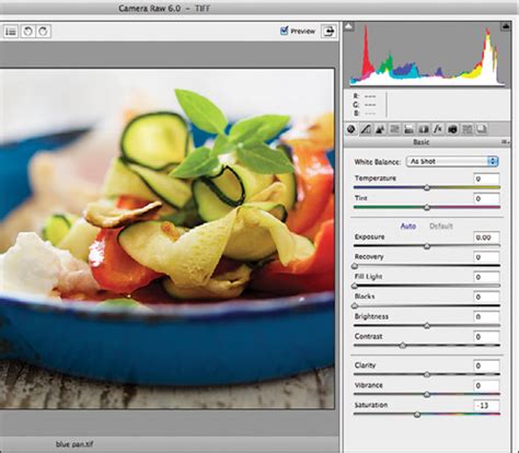 Working With Camera Raw In Adobe Photoshop Cs5 Free Sample Chapter