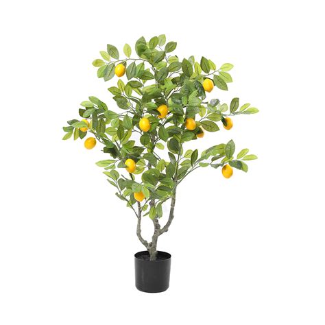 ლიმნის ხე Decor Gallery