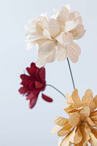 Cuttlebug Cricut Cuttlebug Embossing Folder And Border 5 By 7 Inch Fluted Damask