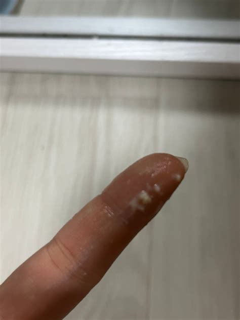 여자 생식기 지식in