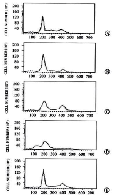 Ves Induced Apoptosis In Sgc 7901 Cells With Dapi Staining Ut Control Download Scientific