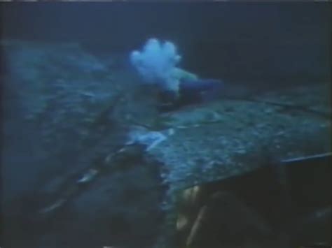 A Trio Of Cryptid Documentaries