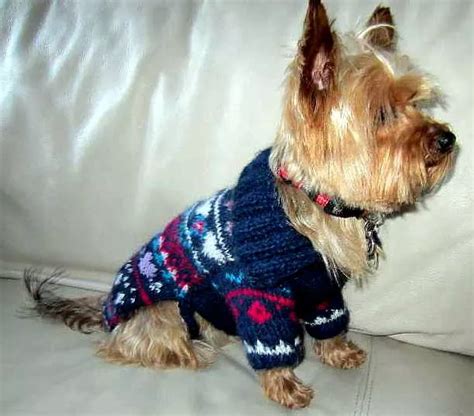 Sweater Knit Pattern For Yorkie