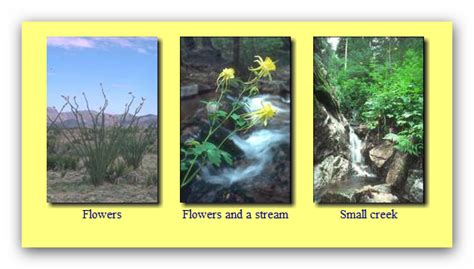 Stgthumb 305 And Css Drop Shadows