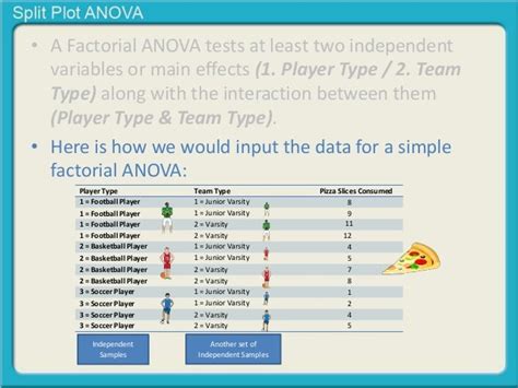 What Is A Split Plot Anova