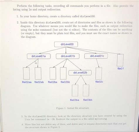 Perform The Following Tasks Recording All Commands