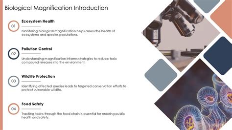 Biological Magnification Introduction Ppt Powerpoint Acp Ppt Presentation