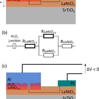 Sketches Of The Conductive Path For Reverse A And Direct Bias C And Download Scientific