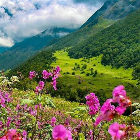 Beautiful View Of Valley Of Flower Uttarakhand Valley Of Flowers