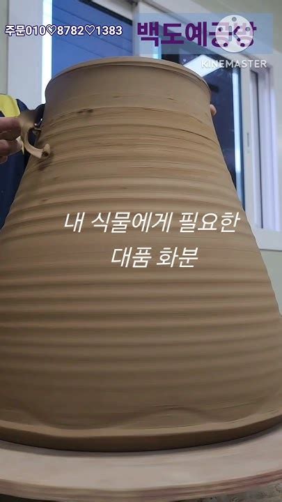 소장가치가 있는 명품수제화분입니다🤗🪴대형화분 대품화분 명품화분수작업대작 고급화분인테리어화분야생화화분 다육화분