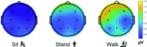 Scalp Plots Showing Median RMS Voltage During Baseline Periods Of No Download Scientific