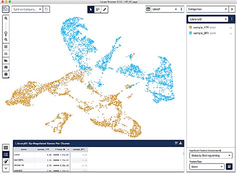 annotating single cell datasets a qanda covering challenges of automated