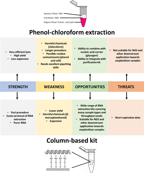 Protocol For Phenolchloroform Rna Extraction Epigentek 41 Off