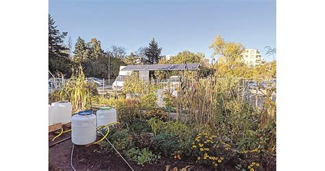 Споделената градина е пряка връзка с природата Български Фермер