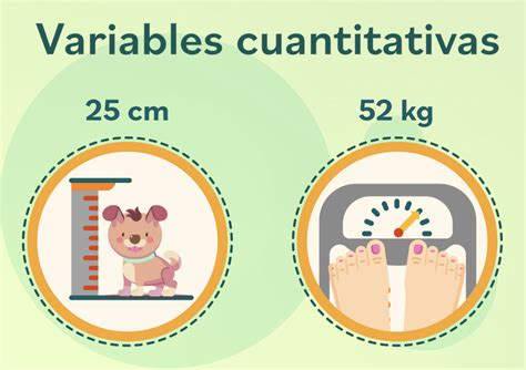 Magnitudes Directamente Proporcionales Ejemplos Y Más