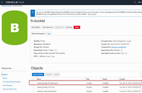 Publish Oracle Function For Reading And Writing Object Storage Files