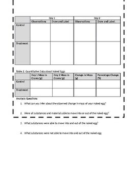 Explore Naked Egg Lab By Mrs Orsak Teachers Pay Teachers