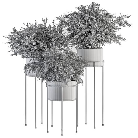 Indoor Plant Set 371 3d Model By Mimostar