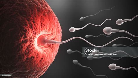 난자 거품을 향한 정자 자연 수정3d 그림 파란색 배경에 대한 스톡 사진 및 기타 이미지 파란색 배경 0명 Dna