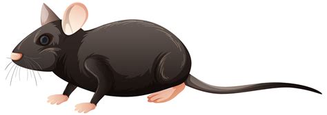 Isolated Mouse On White Background Vector Art At Vecteezy