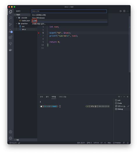 mac 환경 vscode 에서 c언어 개발환경 세팅 feat 디버깅