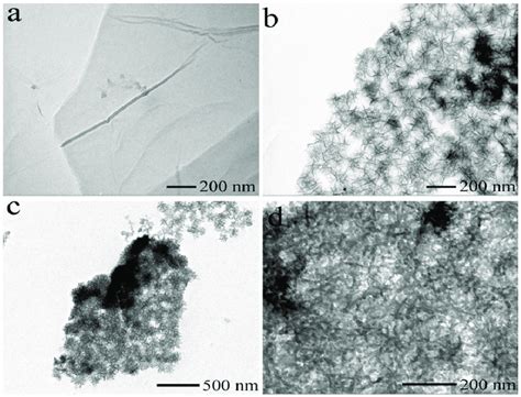 Instrumental Analysis Of Morphology A Tem Image Of Go B Tem Image