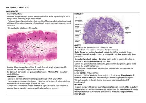 Lymphatics Histology Lymphatics Histology Docx