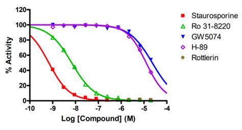 Cdk2cyclin E Kinase Assay Service Reaction Biology