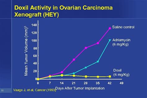 Doxil Doxorubicin Hcl Liposome Injection Doxil In The