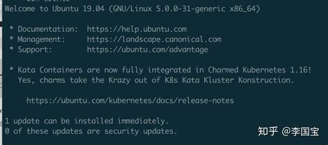 K8s集群的另一种打开方式 Microk8s 知乎