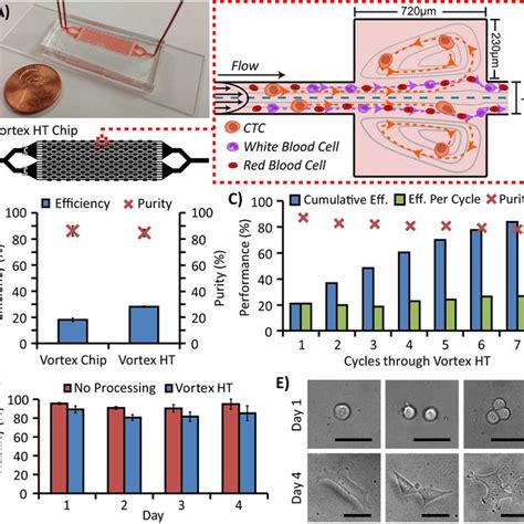 Microfluidic Device Design And Performance A The High Throughput